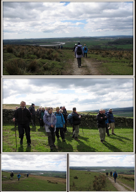 The Glebe Blog: Wigtownshire Ramblers Palnure Creetown April 2012