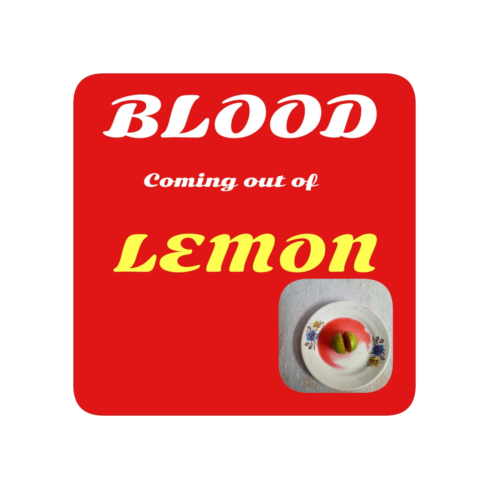 Science adda: BLOOD COMING OUT OF LEMON