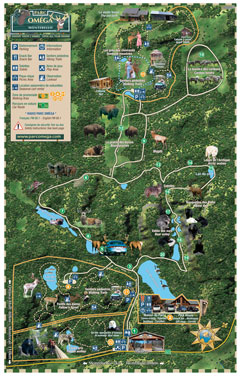 Cap à l'ouest: Le Parc Oméga à Montebello