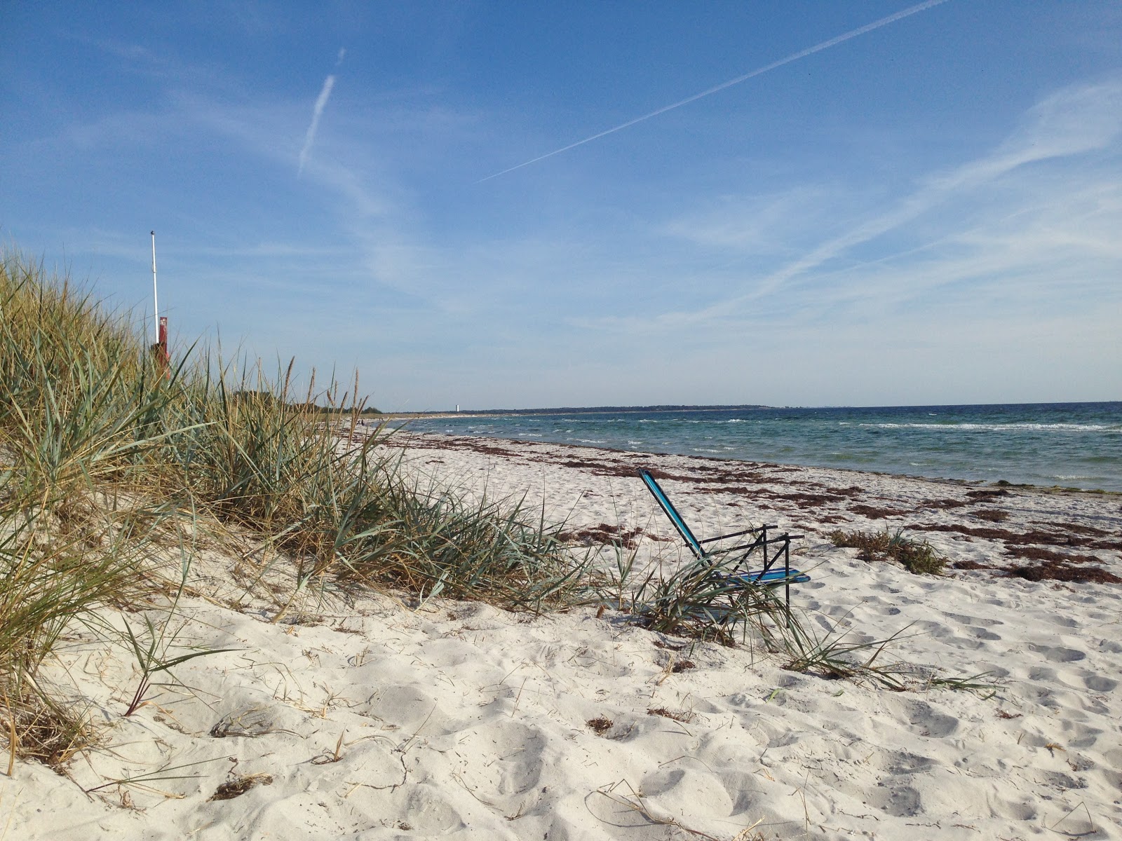 Albatrossen - nyckel till frihet.: Liten sommarbild från september