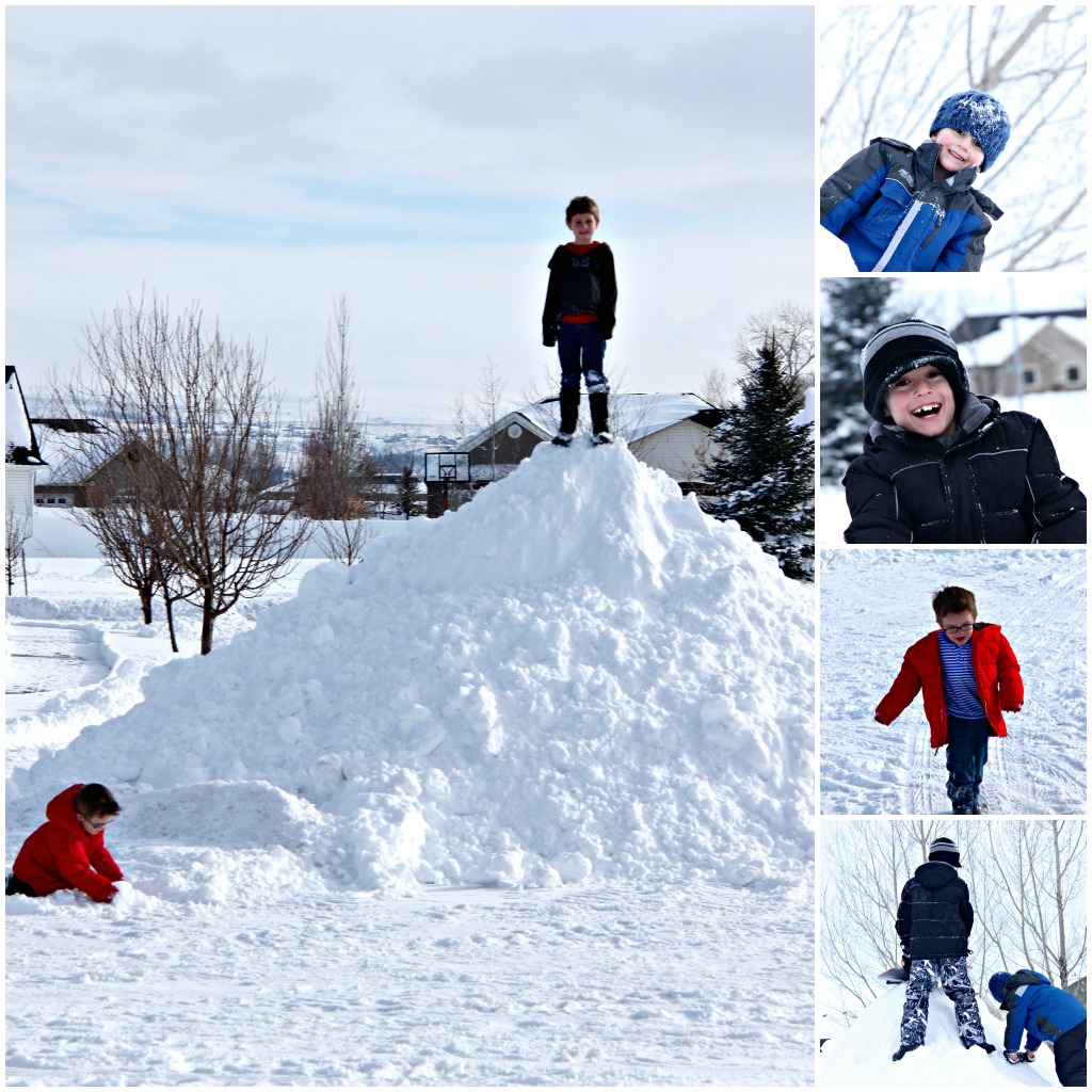 Larissa Another Day: Chicken Pot Pie Crumble