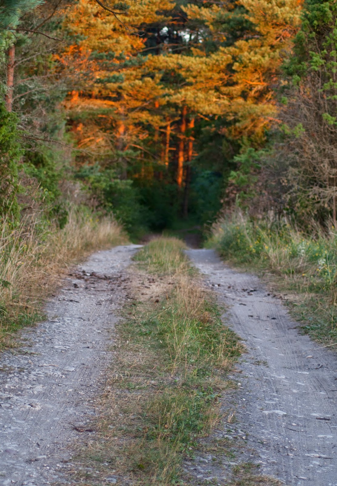 Eve Saar Photo: Vormsil/ in Vormsi (a small island in the West Estonia ...