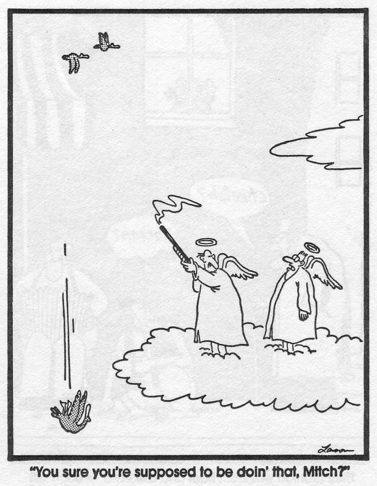 Thoughts From the Right Brain: Creation Science - A "Far Side" Look at ...