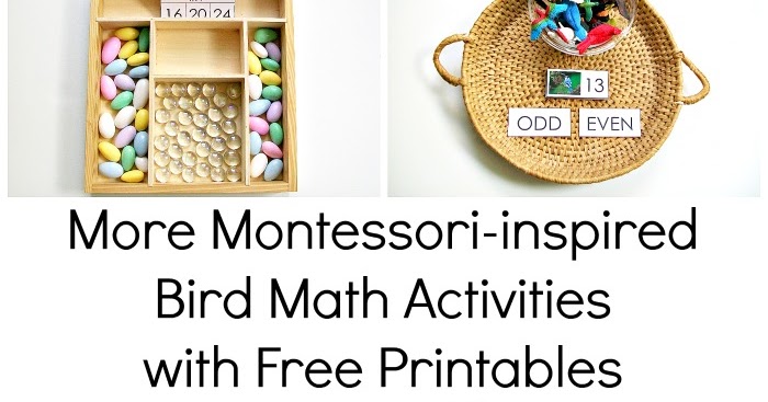 Montessori-inspired Bird Math Activities with Free Printables - Every ...