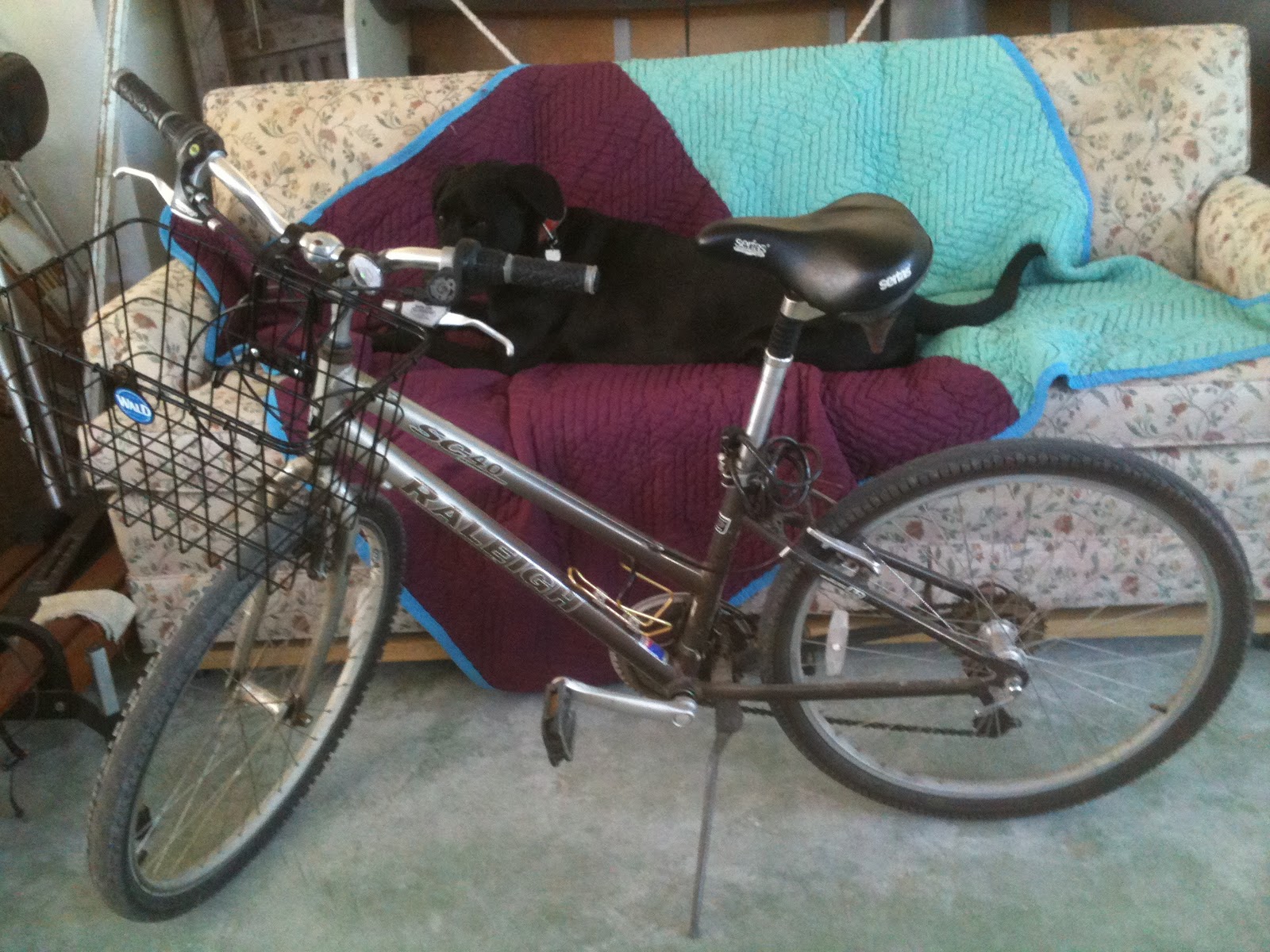 Our Vacation Havens ...... your Vacation Getaway!: The Vacahaven ...