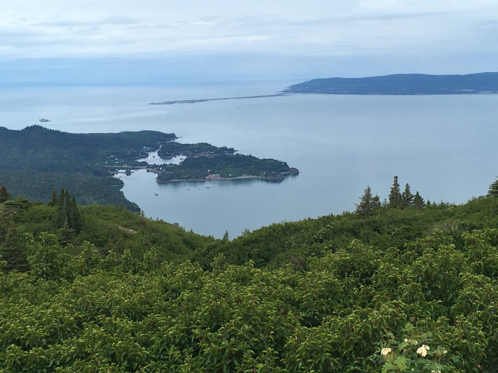 Life in Alaska — A View From Homer: Alpine Ridge Trail