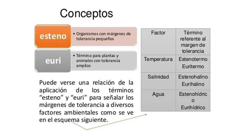 ECOLOGÍA Y MEDIO AMBIENTE: Factores limitantes - Inés Toledo
