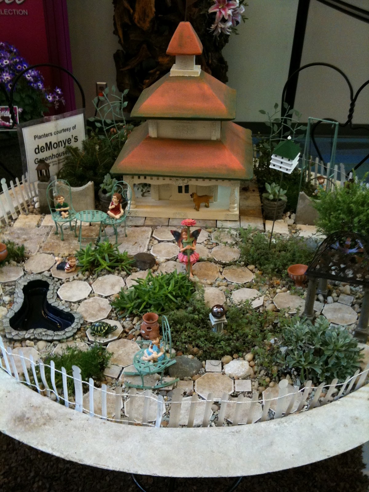 Gary's Specialty Plants: Miniature Gardens as an Olympic event!