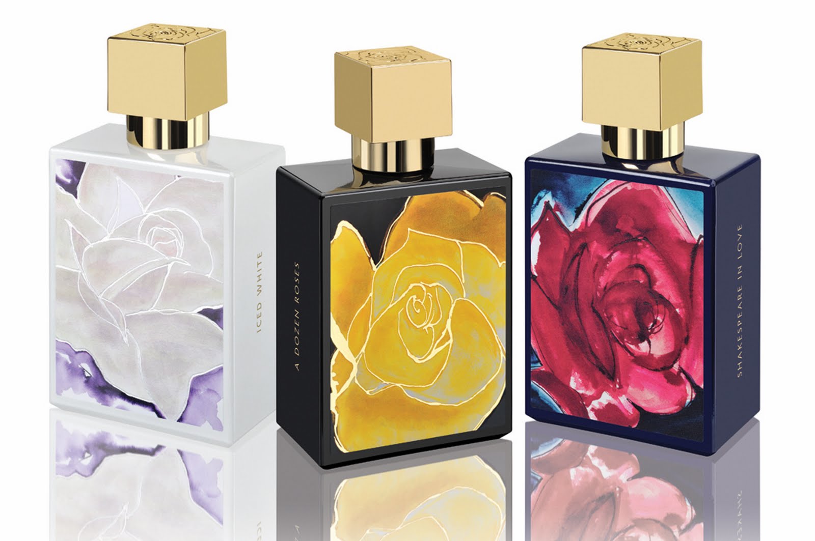 Best Things in Beauty: A DOZEN ROSES, New Fragrance Collection ...