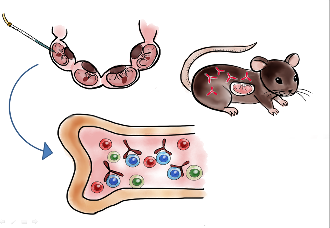 Medical School Art: 2014