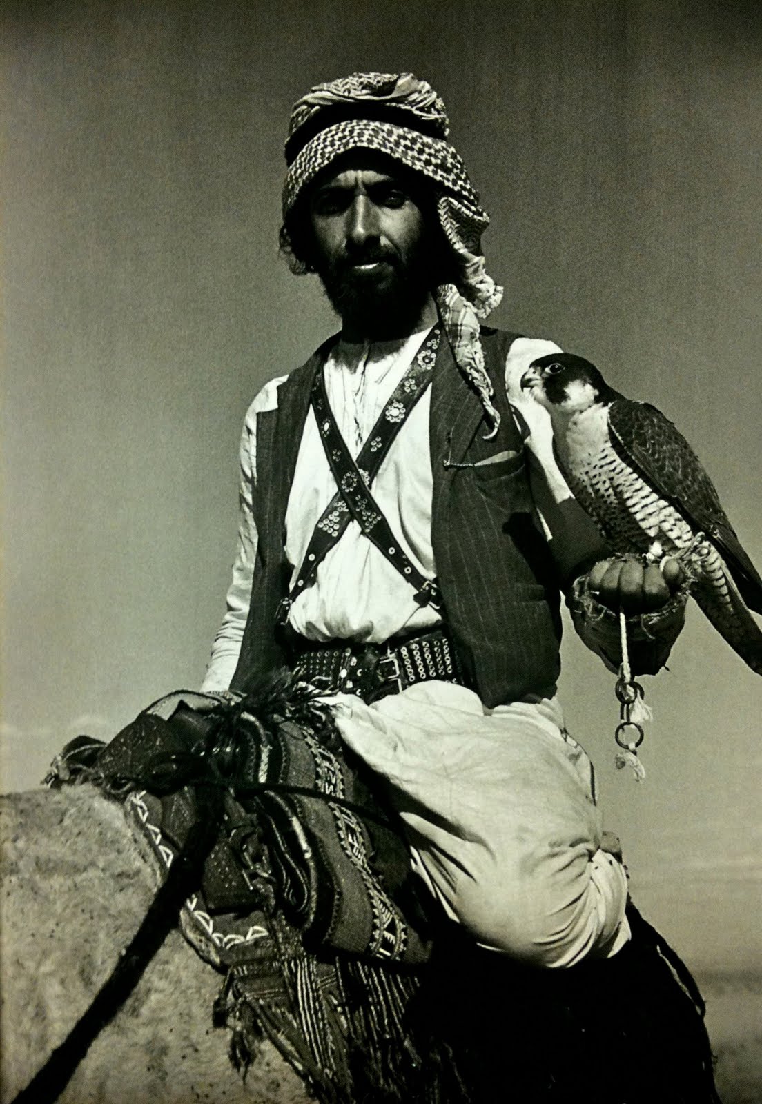 Abu Dhabi Winners: A Week in Paradise