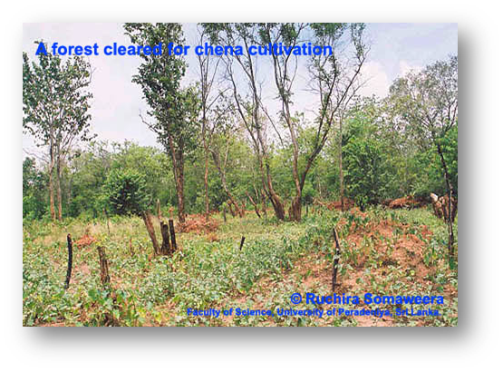 Sustainable Farming Systems for Development