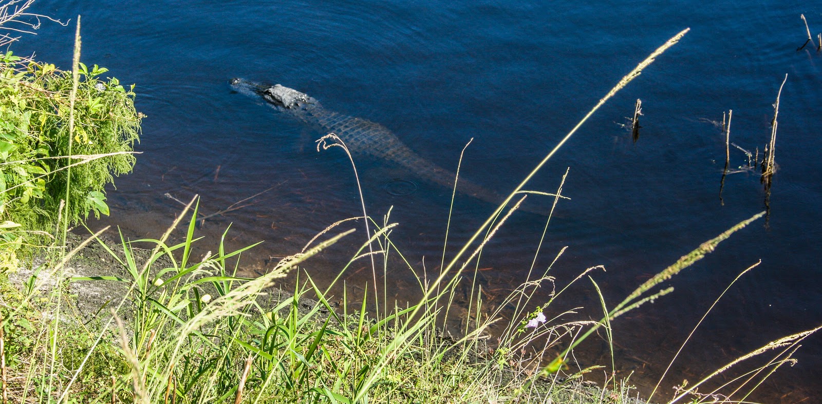 Walking Arizona: Basking in the Sun