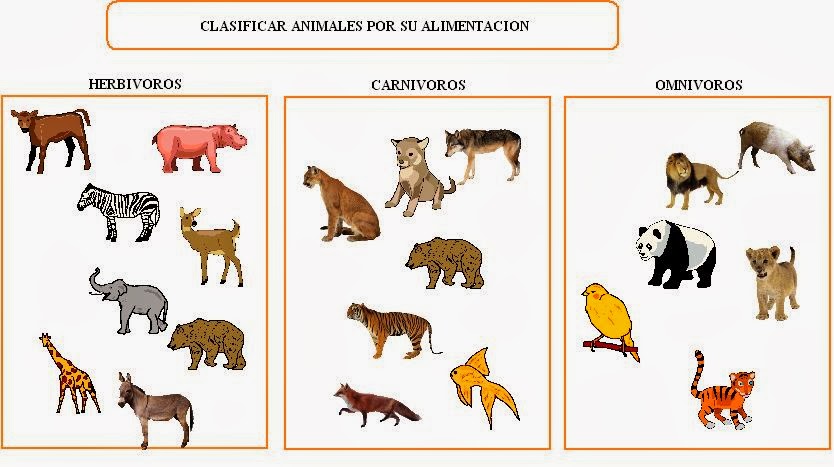 Los animales
