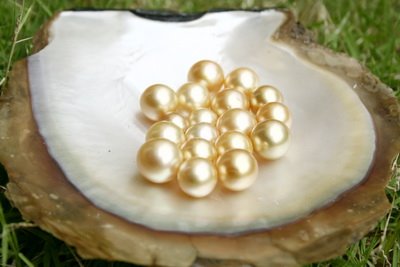 Senang-senang singgahlah.....: Mutiara Kata Yang Indah