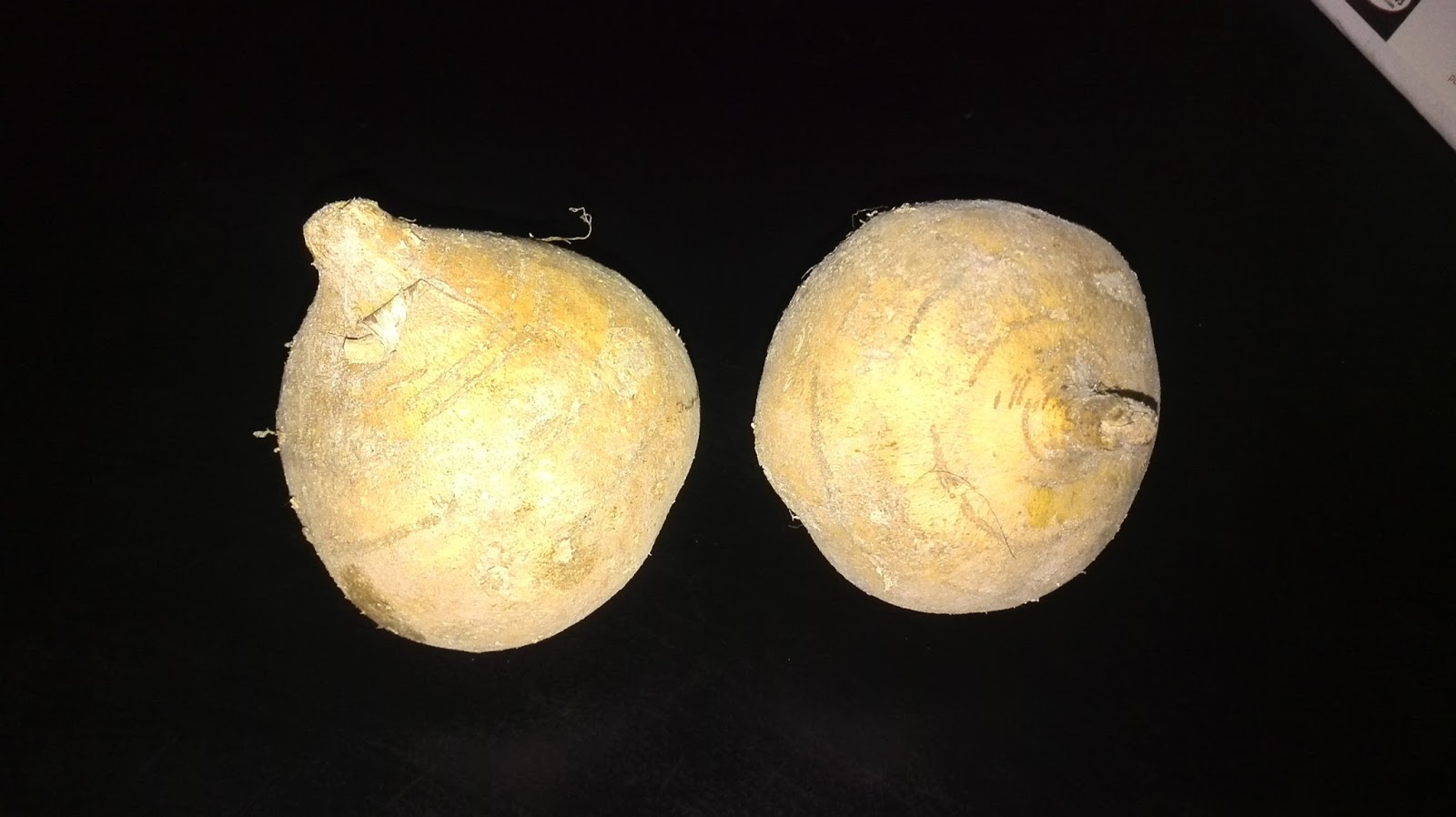 namakucella: KARI SENGKUANG DENGAN IKAN