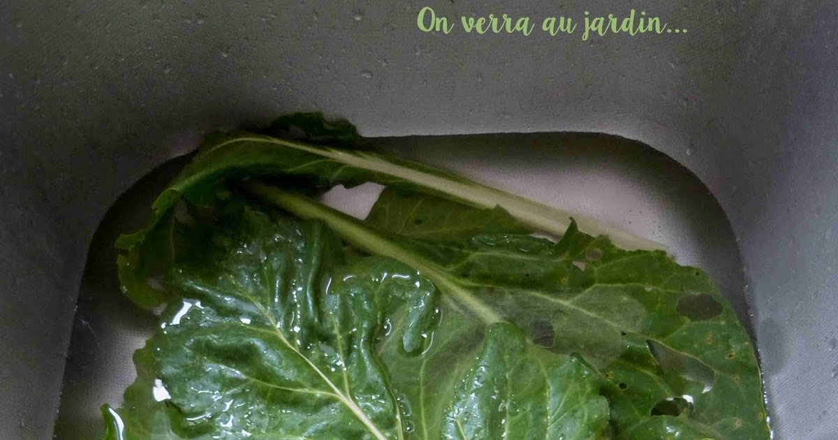 On verra au jardin...: Chouette, des blettes...