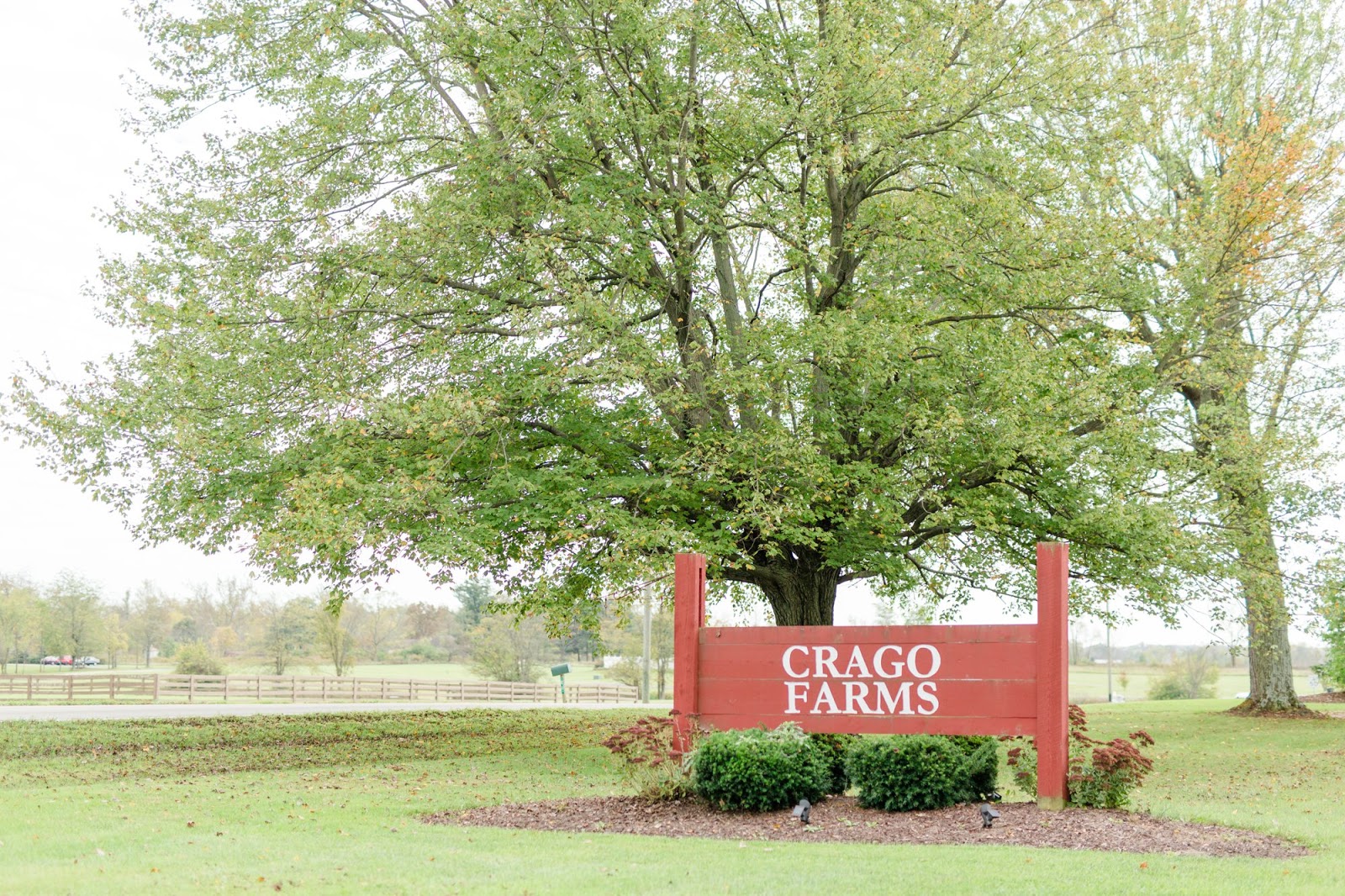 Mythical Fall Wedding at Crago Farms – Michelle Joy Photography