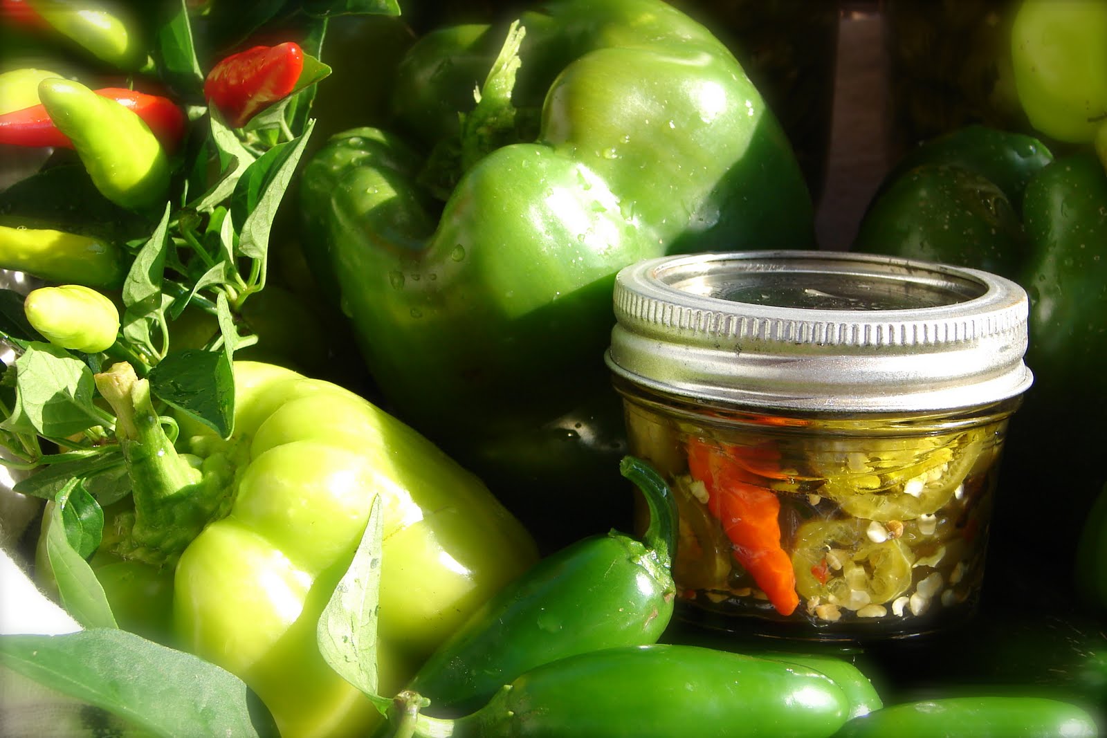 COSMOGIRL'S EMPORIUM: Pickled Peppers