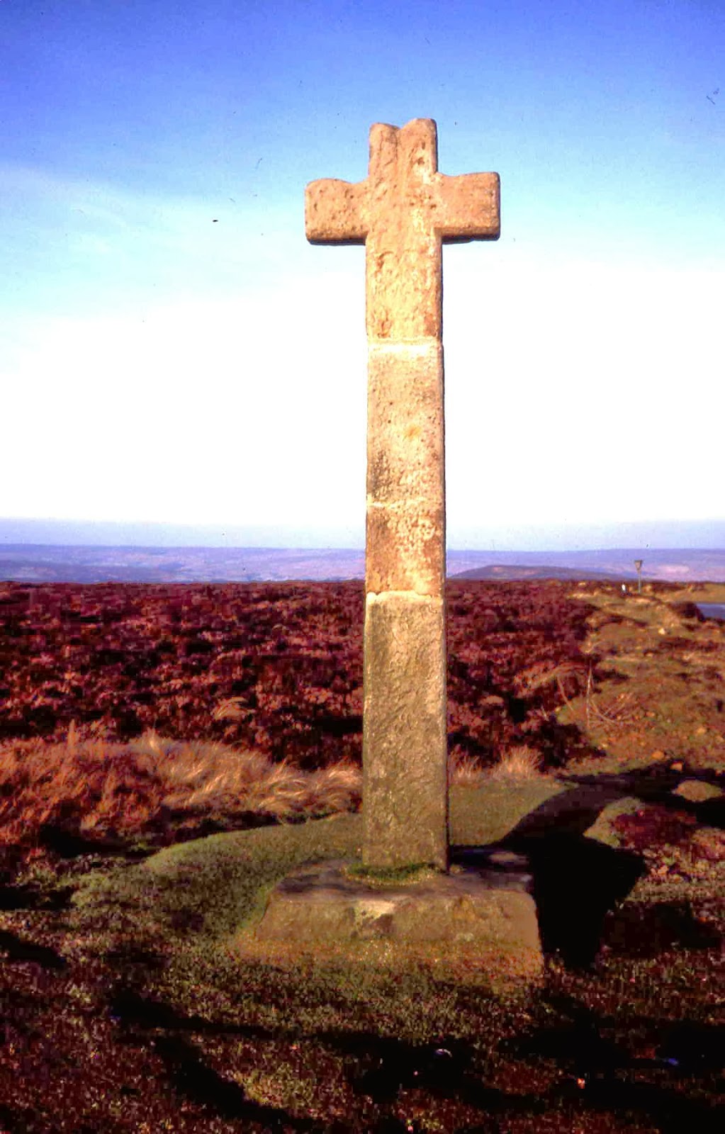 Roy's blog: CURIOUS STANDING STONES