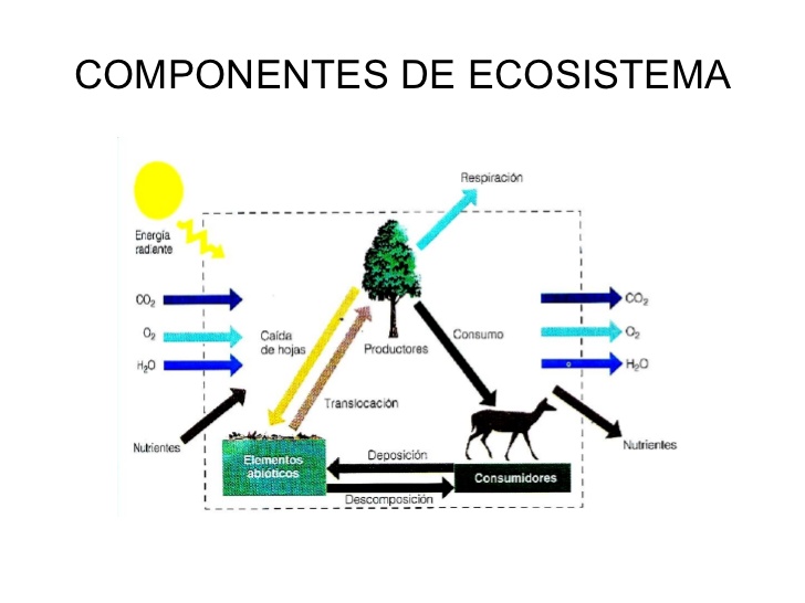 Componentes estructurales de un agroecosistema: 2016