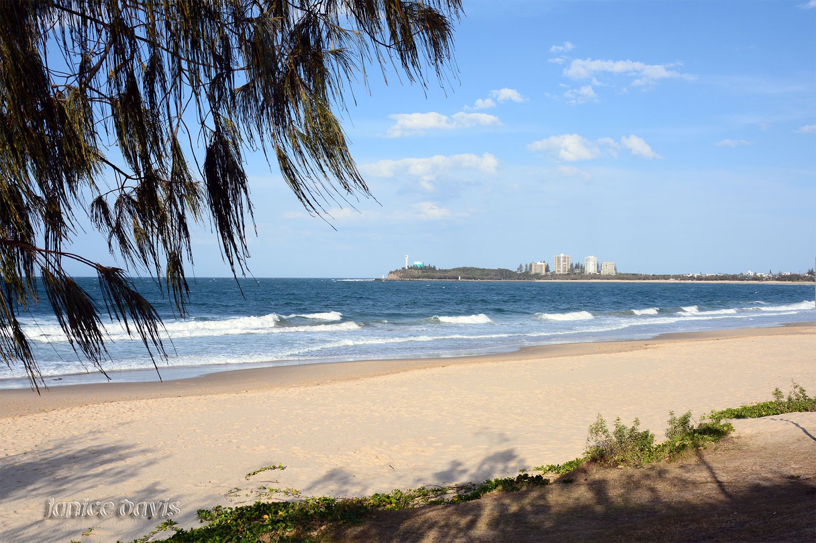 thoughts & happenings: The Spit, Sunshine Coast, Queensland