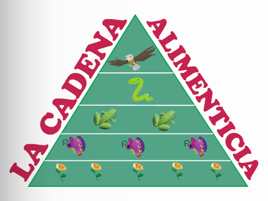 LA CADENA ALIMENTICIA