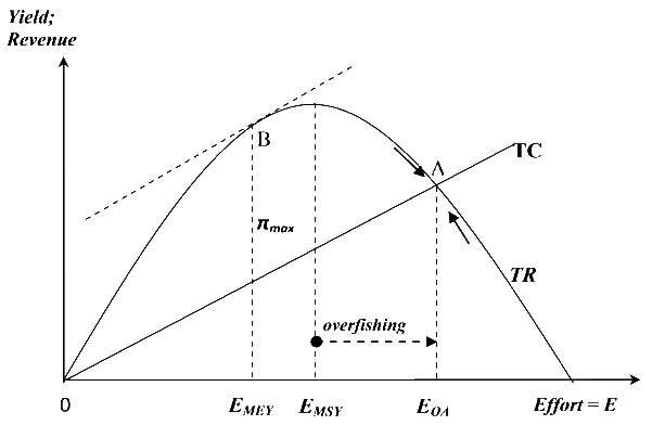 Ekonomi Overfishing dan Overcapacity: Implikasi Bagi Pembangunan ...