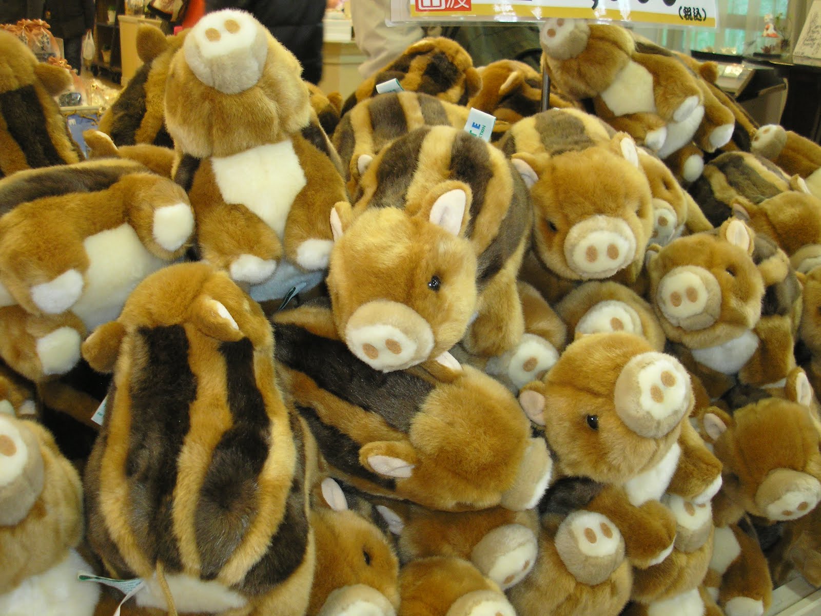 Craig and Quinn's Nihon Adventure: Inoshishi Matsuri (Prepare to have ...