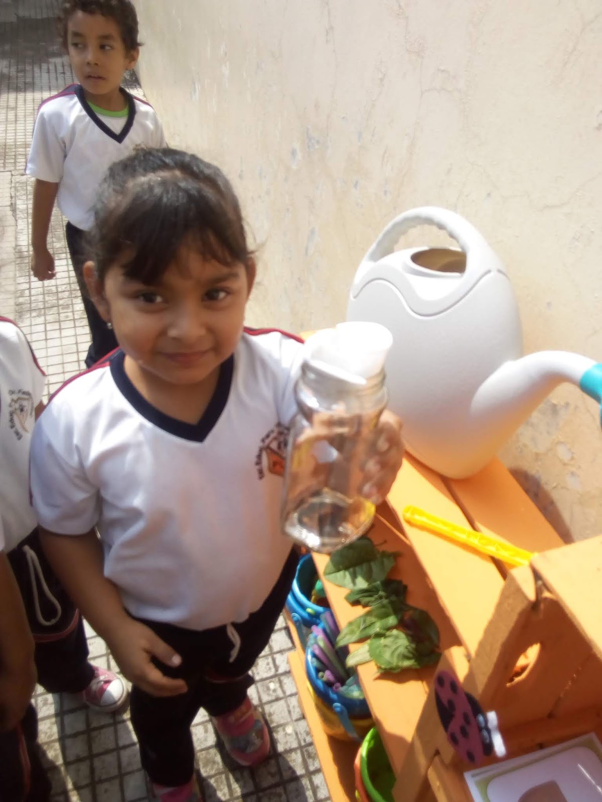 Mi rincón de ciencias: PRACTICA: MI RINCÓN DE CIENCIAS