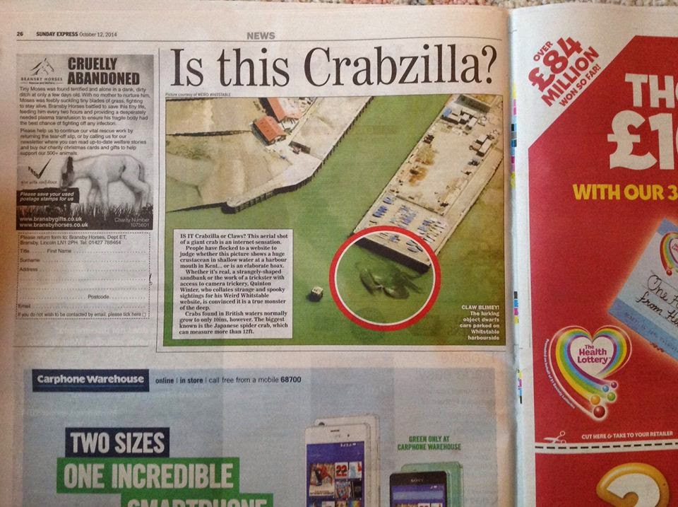 Weird Whitstable: Crabzilla in the Sunday Express!