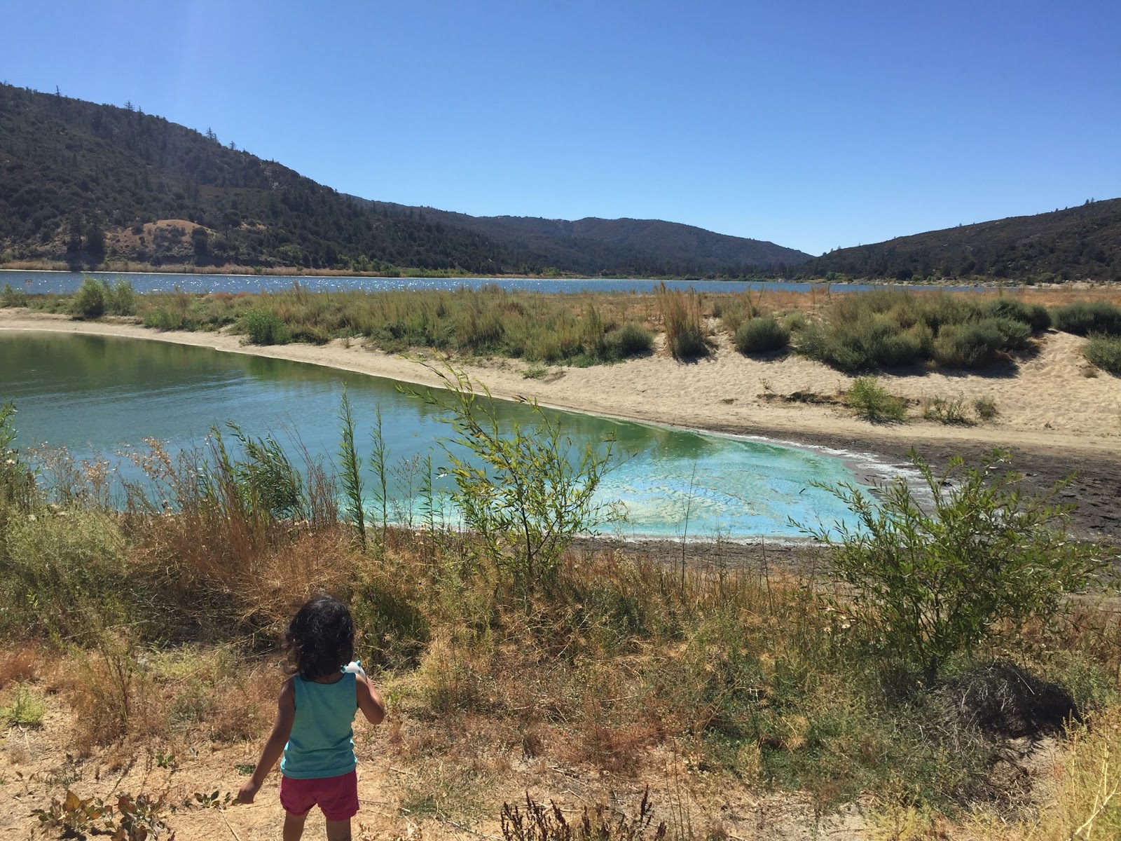 1981 VW Camper: Lake Hemet