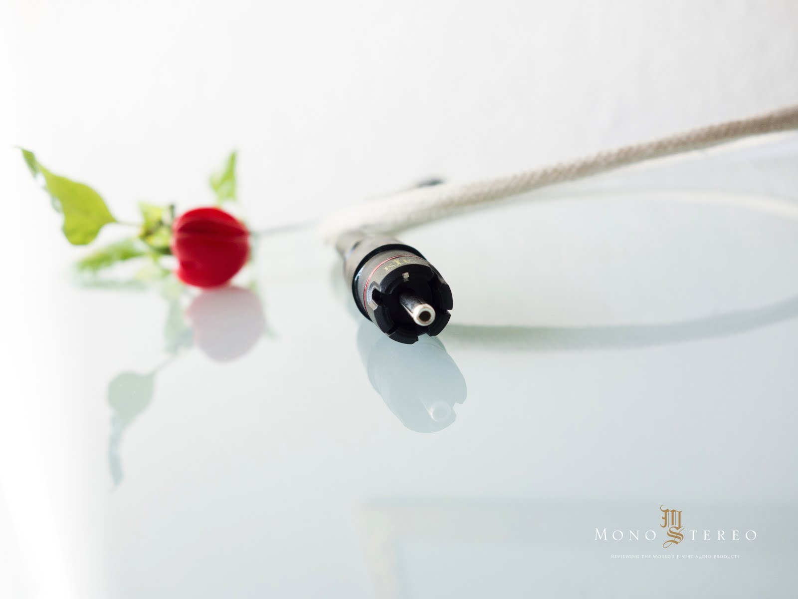 MadScientistAudio HDC Digital Cable review – M & S | Ultimate High-Fidelity