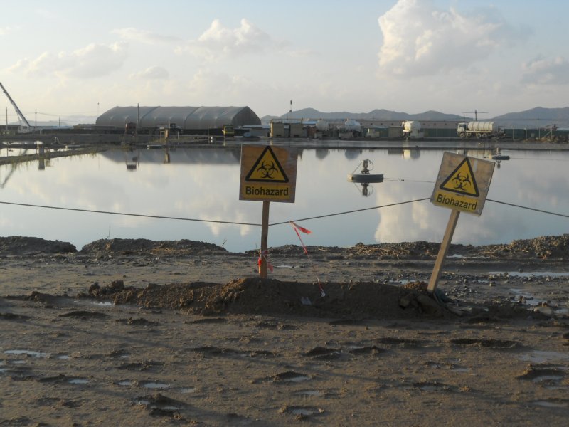 Persistency's Promise: Poo Pond