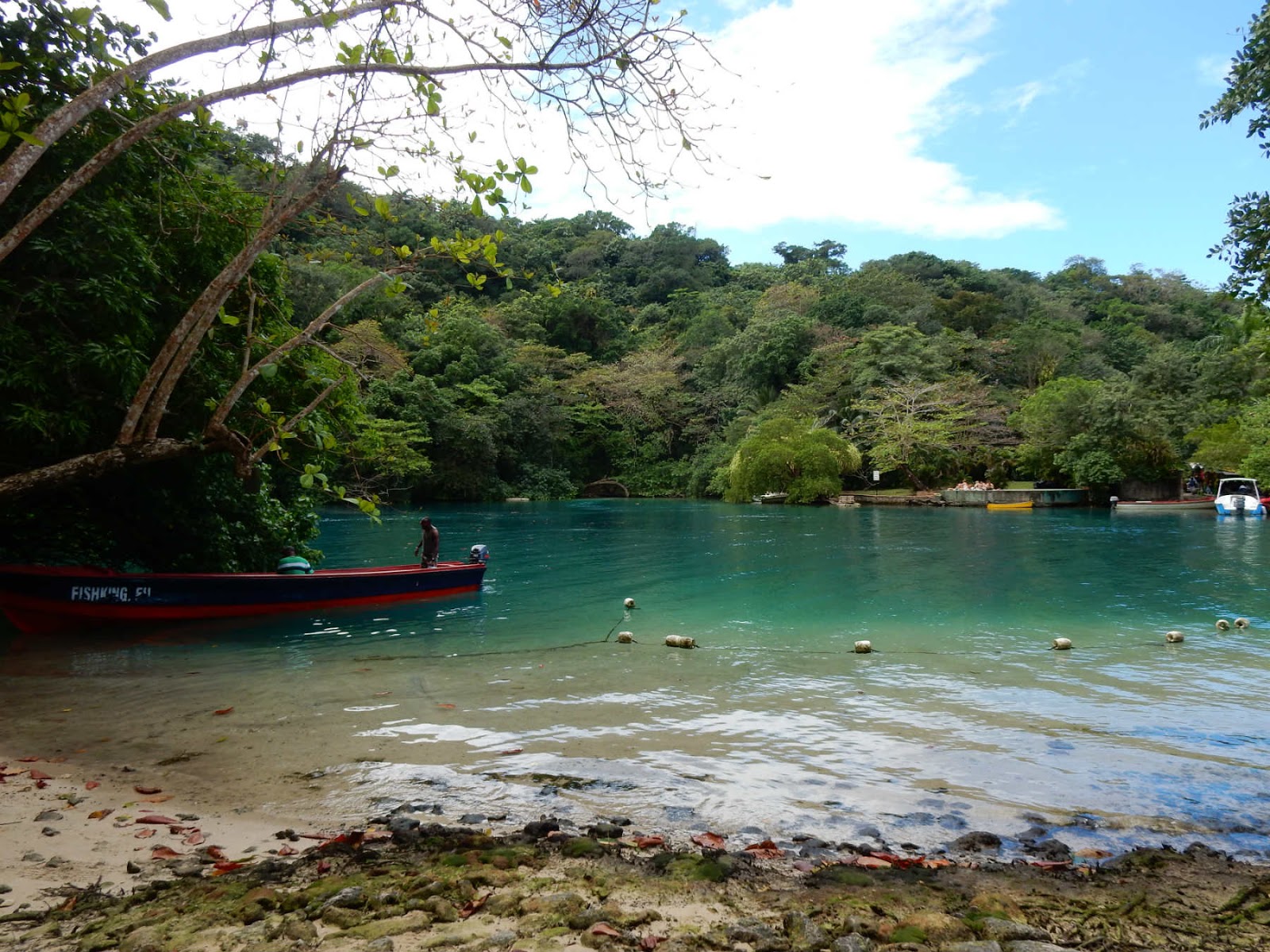 Dicas para conhecer a Lagoa Azul na Jamaica! - Renata Viaja...