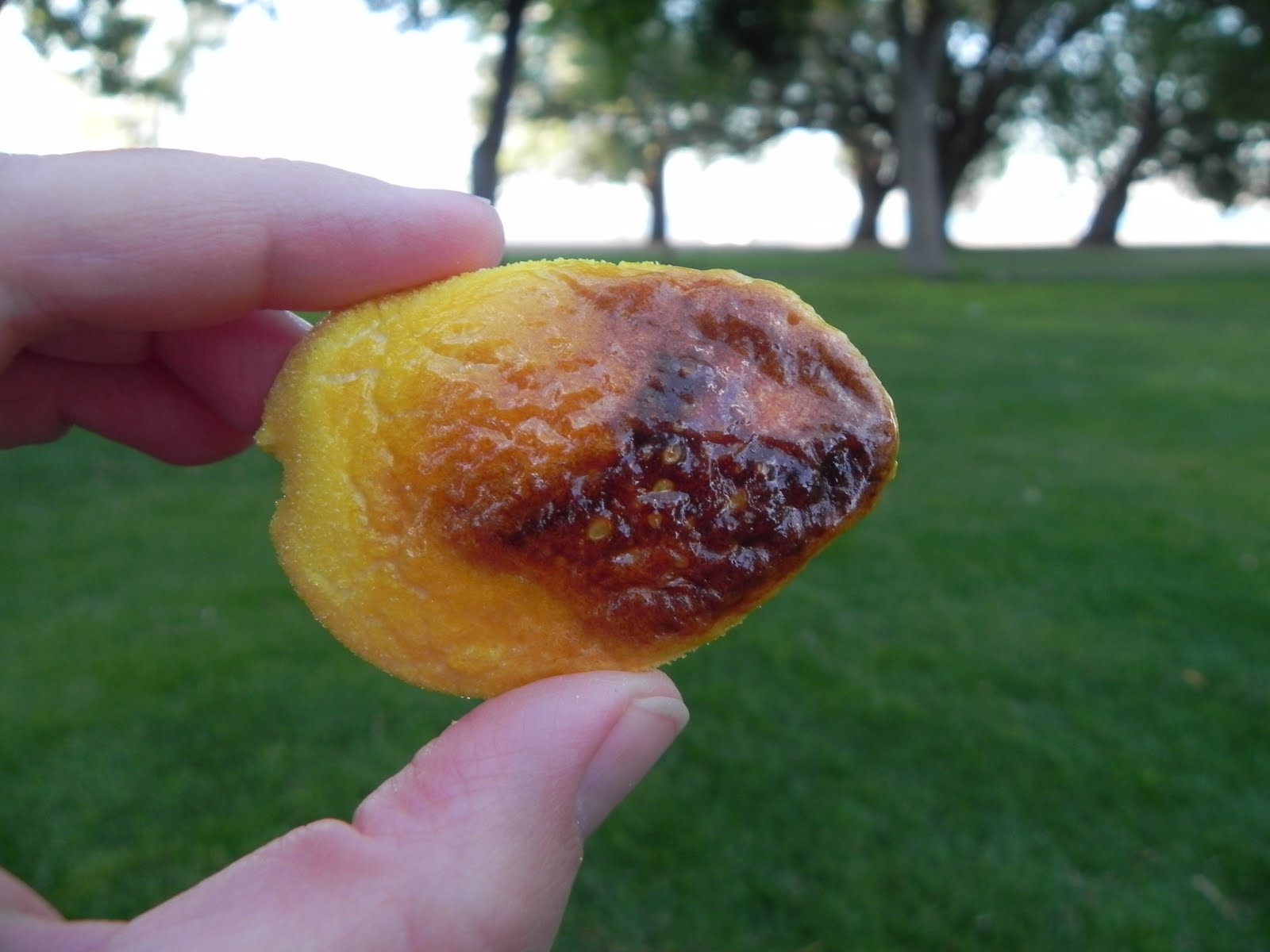 I Can Do This!: Roasted Peeps