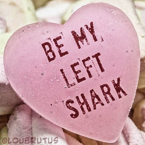 NeuroDojo: The Zen of Presentations, part 67: Lessons from Left Shark