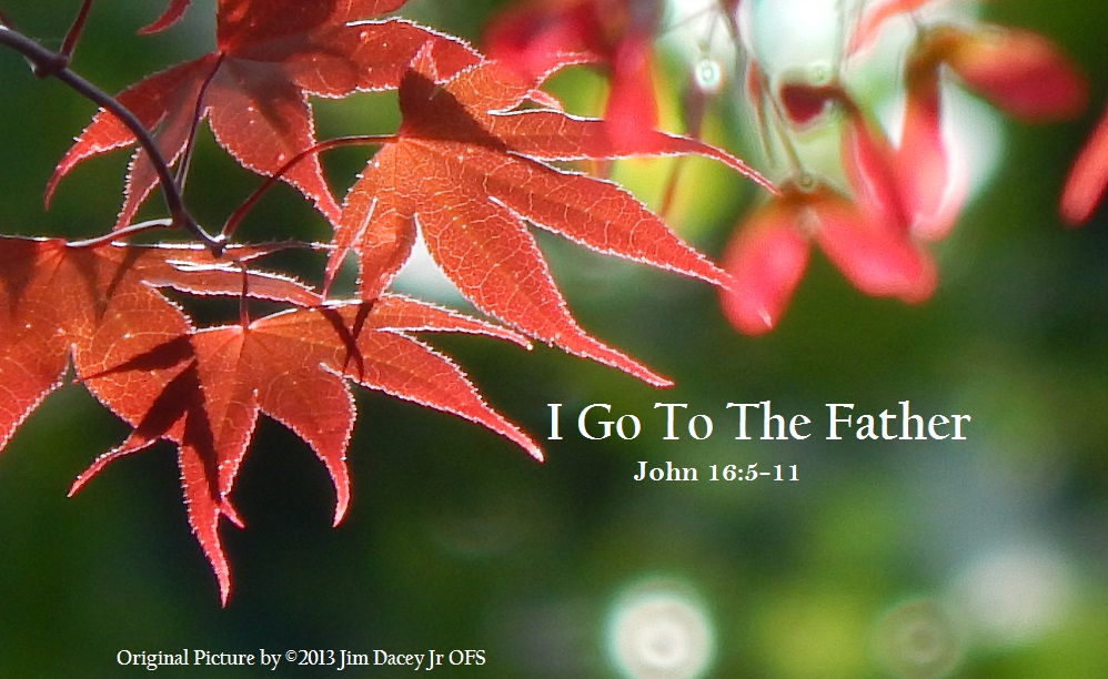 "Beads of Joy" by RosaryManJim: I Go To The Father