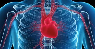 How is cardiovascular care better?