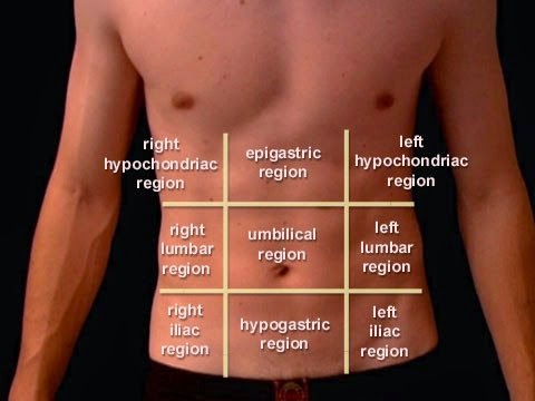 Stomach Pain Diagram