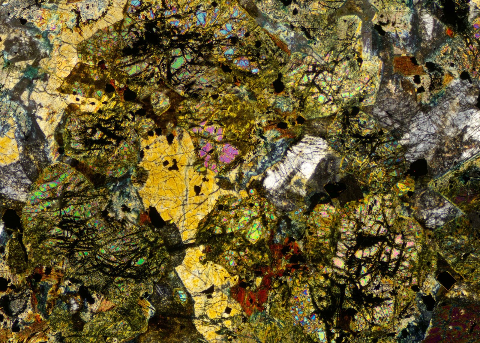 Peridotites: January 2011