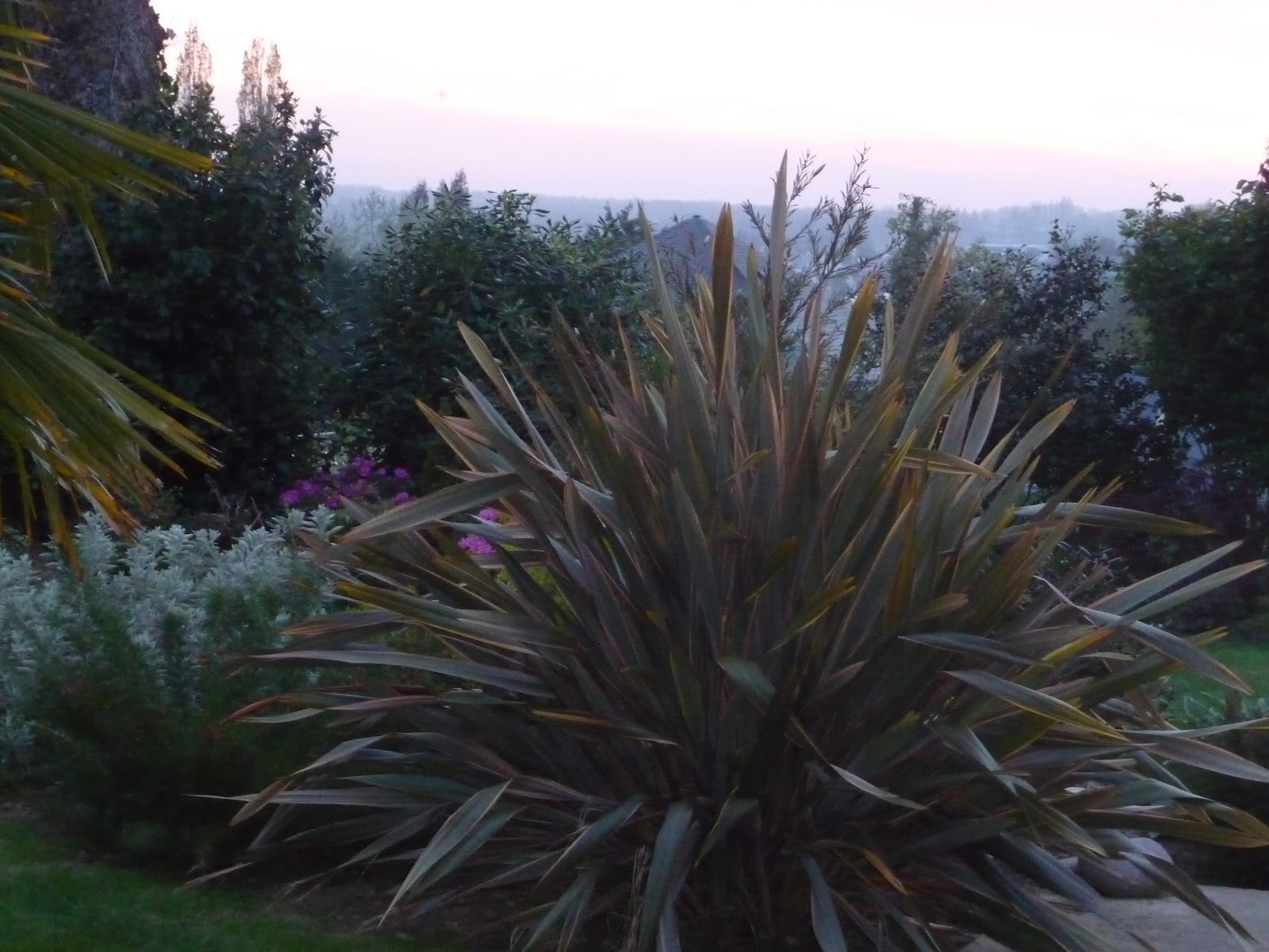 Ma Terre de Bruyère: Nous sommes enfin en Mai ...