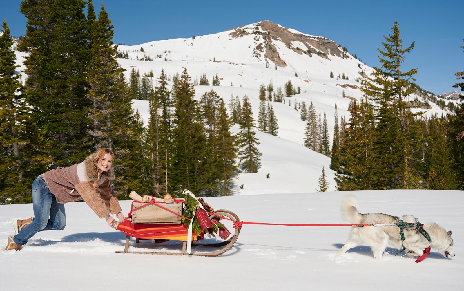 Dogs of Sundance: Arctic Rescue Huskies - Sundance Blog