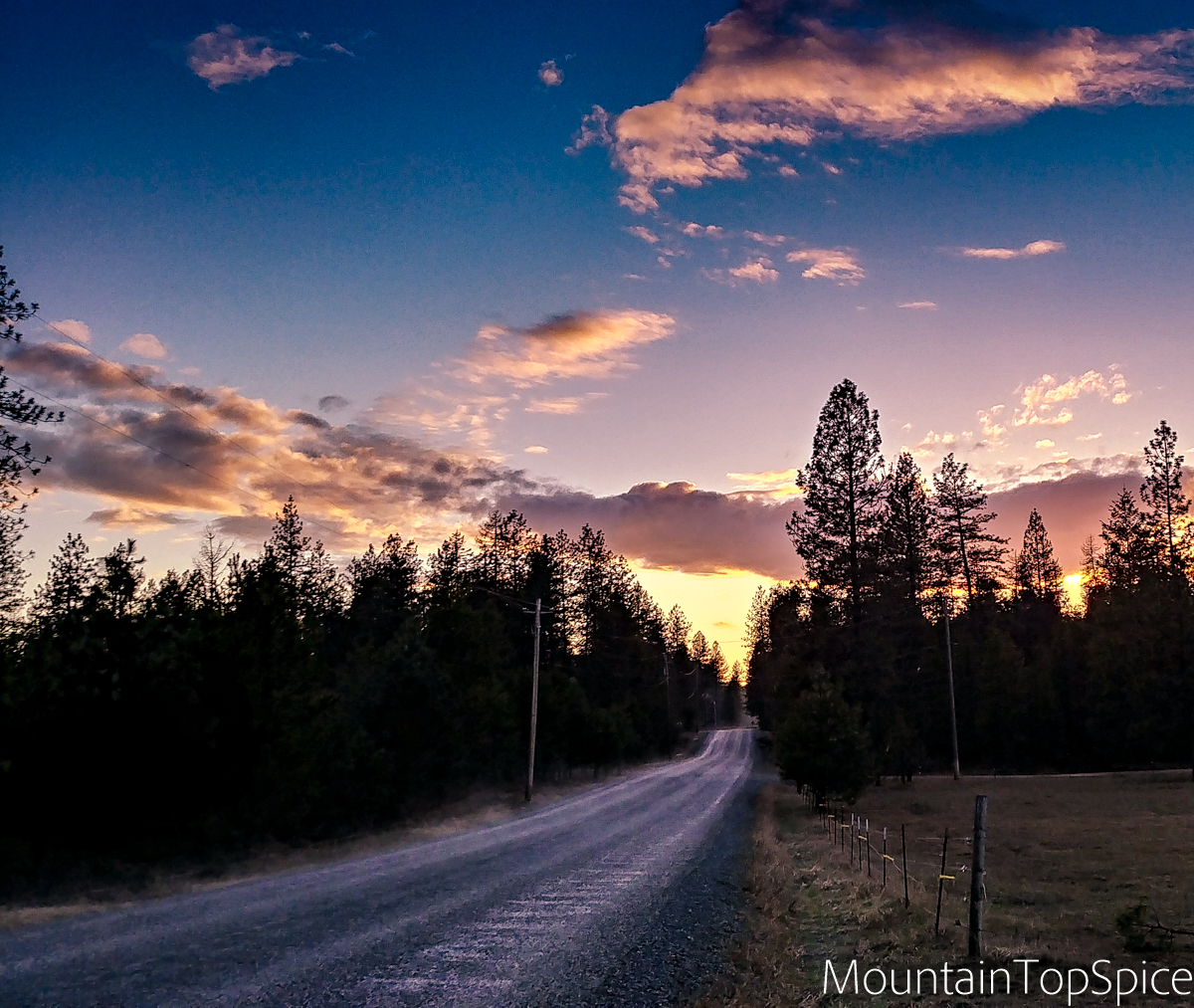 Springtime Life Sprinkles | Mountain Top Spice