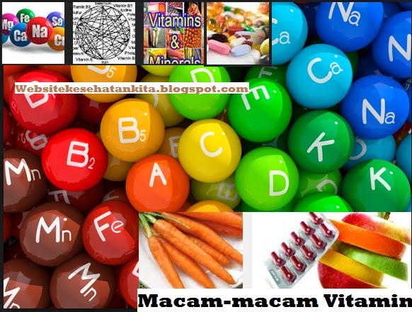 Macam-macam Vitamin dan sumber vitamin serta manfaat dan fungsi vitamin ...