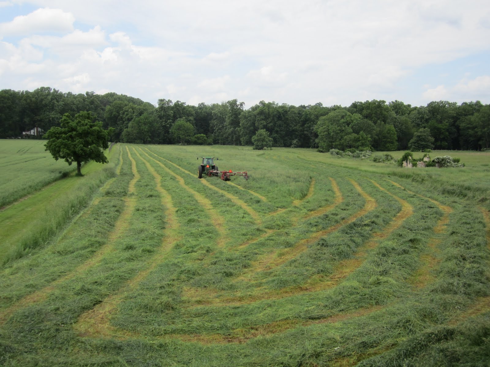 "Happenings" at Hurricane Hill Farm (A Pennsylvania Century Farm ...