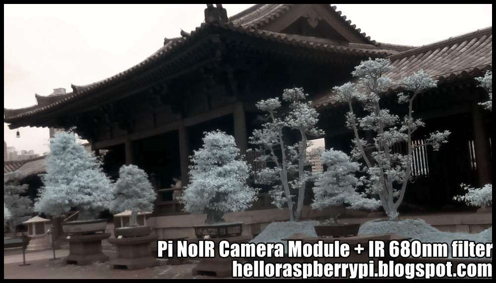 Hello Raspberry Pi: by Pi NoIR Camera Module + IR 680nm filter