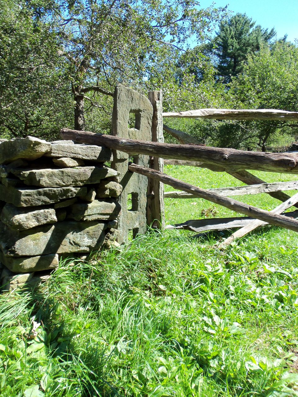 The Deliberate Agrarian: The Deliberate Agrarian BlogazineSeptember 2011