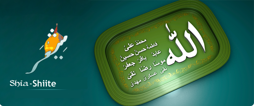 Shia-Shitte-Islam: About Taqleed, is it mandatory or not?