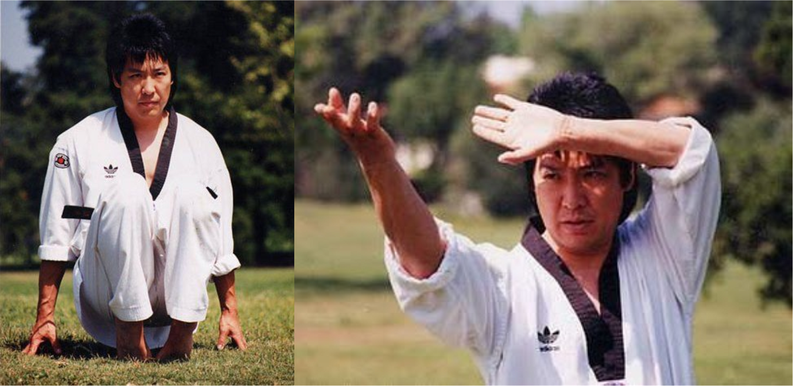 Tae Kwon Do: Phillip Rhee Biografia